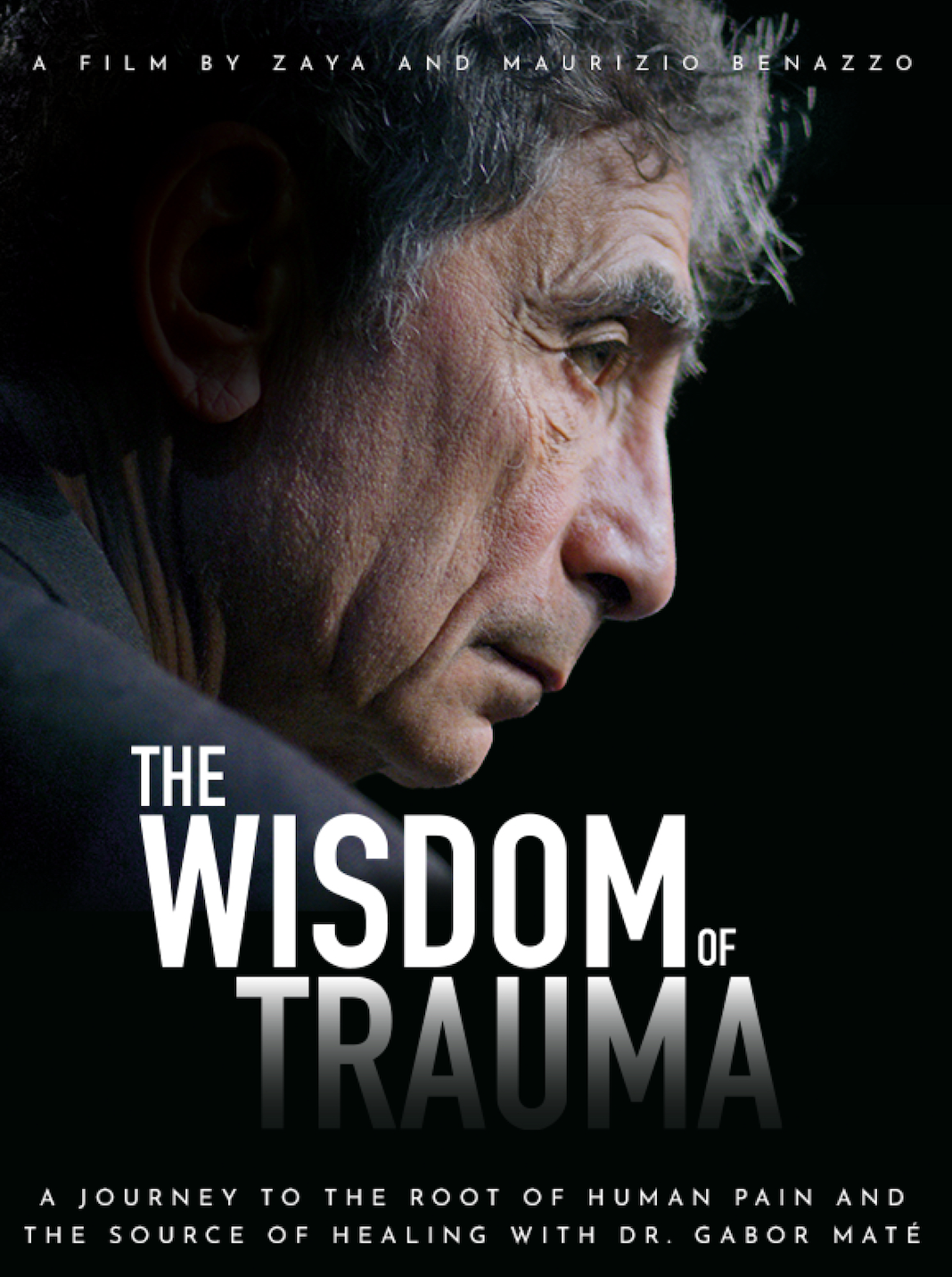 The Wisdom of Trauma Screening | NH Community Behavioral Health Association